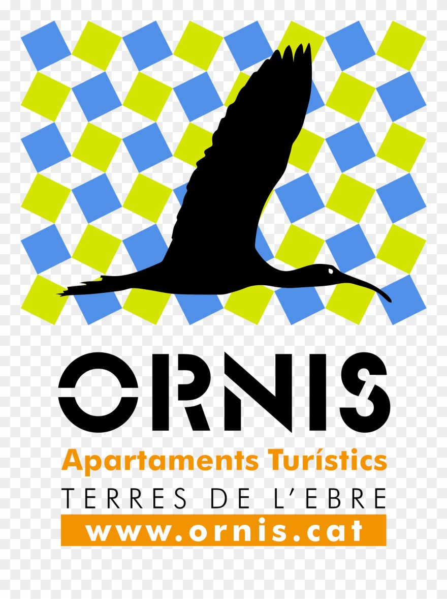 16 De Septiembre Clipart - Png Download (#2499271) - PinClipart