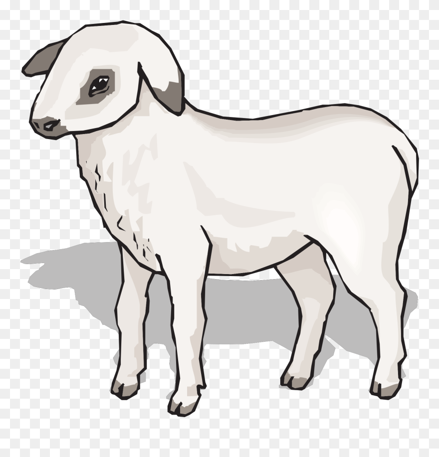 Lamb Svg Clip Arts 600 X 598 Px - Png Download (#255007) - PinClipart