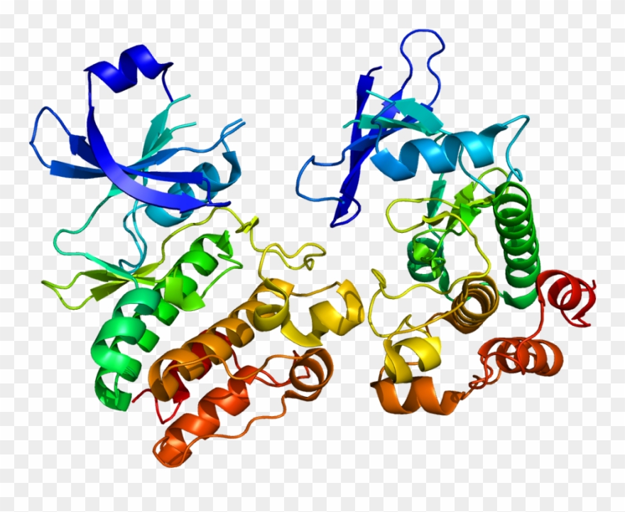 Mitosis Clip Art - Png Download (#2507724) - PinClipart