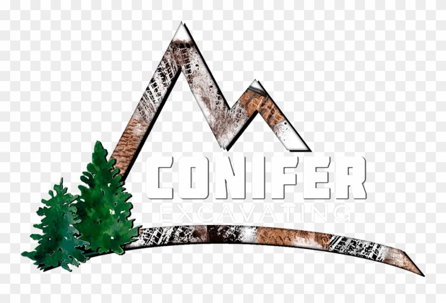 Conifer Clip Art - Png Download (#2530957) - PinClipart