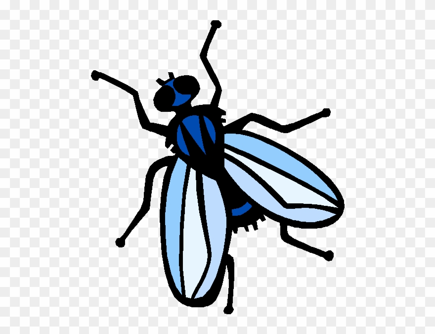 Download Black Flies And Such Darlene Sprague Clipart (#2543038 ...