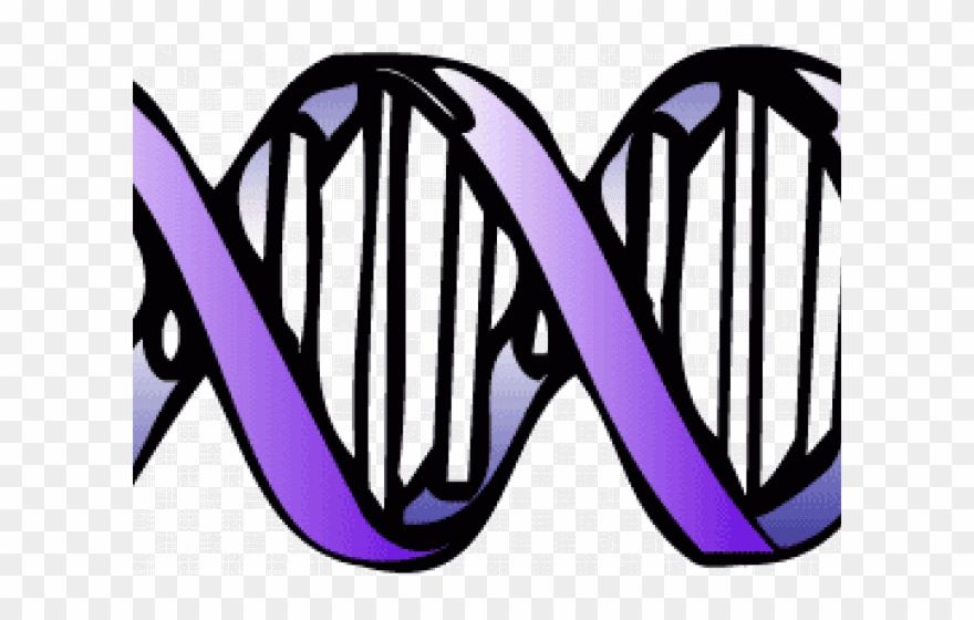 Dna Structure Clipart Dna Chain - Png Download (#2565201) - PinClipart