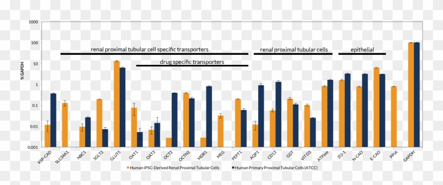 Gene Expression Clipart (#2573527) - PinClipart