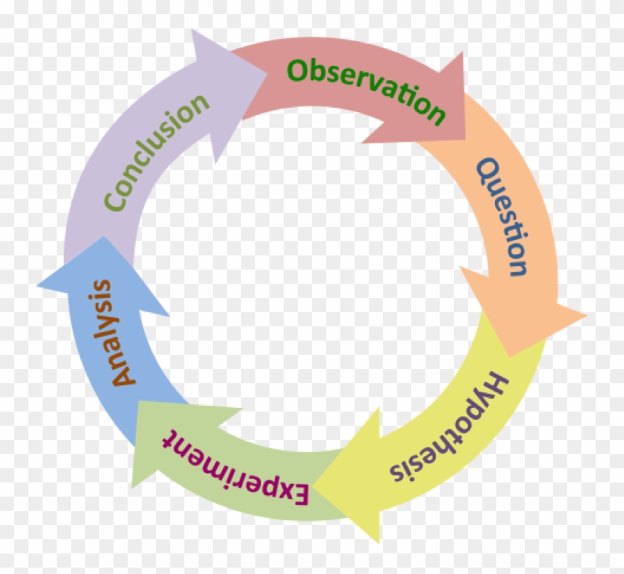 The Scientific Method Clipart (#2587493) - PinClipart