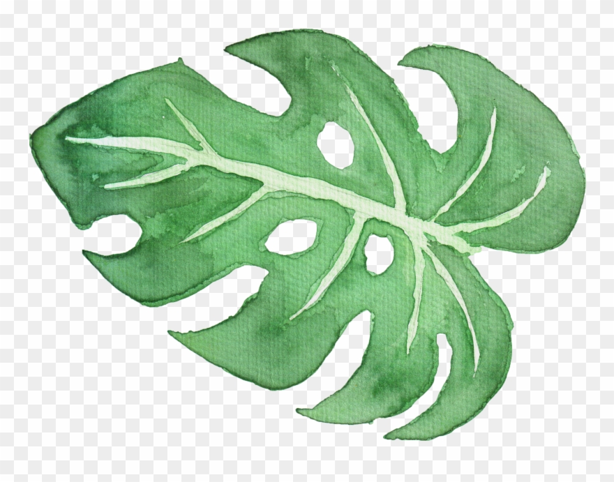 Tropical Leaves Watercolor Png Clipart (#2597821) - PinClipart