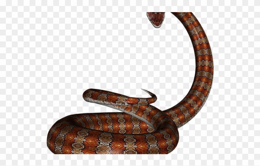 Serpent Clipart Rat Snake - Png Download (#2619830) - PinClipart