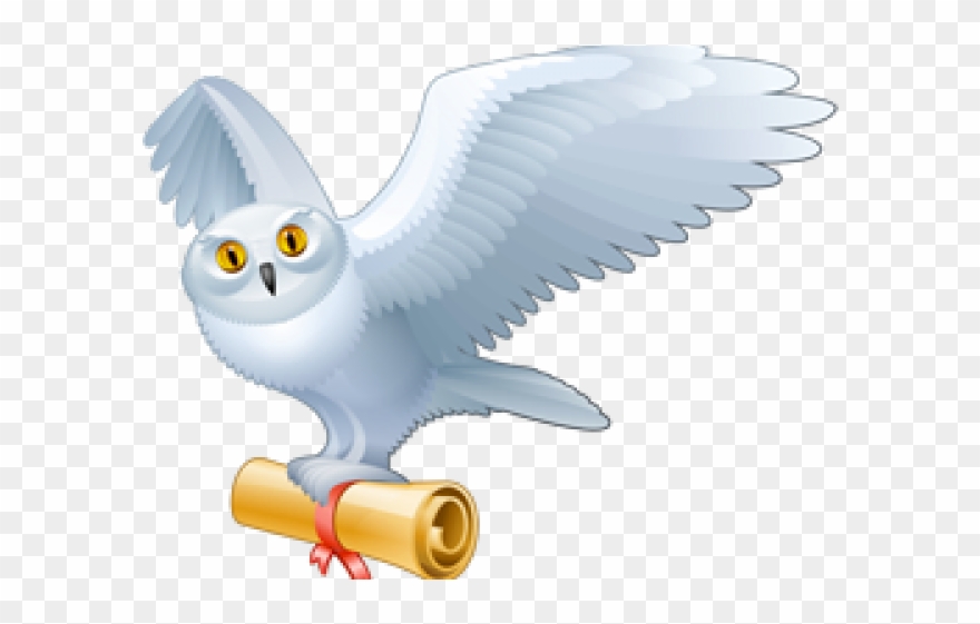 Harry Potter Clipart Scroll - Png Download (#2621127) - PinClipart