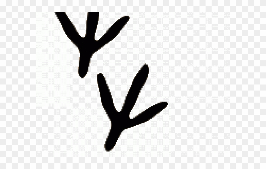 Turkey Tracks Clipart - Png Download (#2625315) - PinClipart