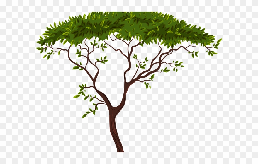 Life Clipart African Tree - Png Download (#2655385) - PinClipart