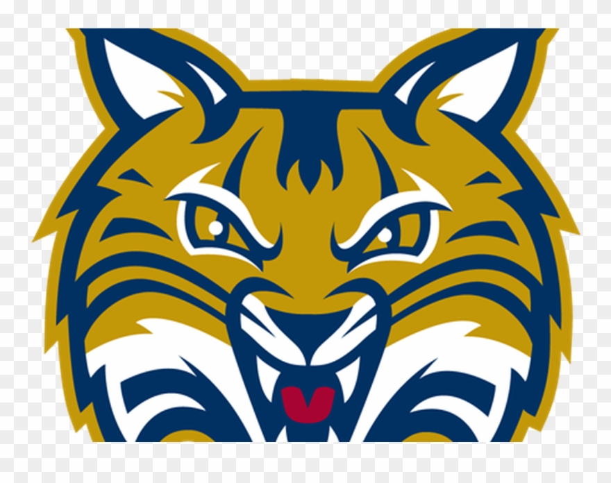 Bobcat Clipart Scared - Png Download (#2656476) - PinClipart