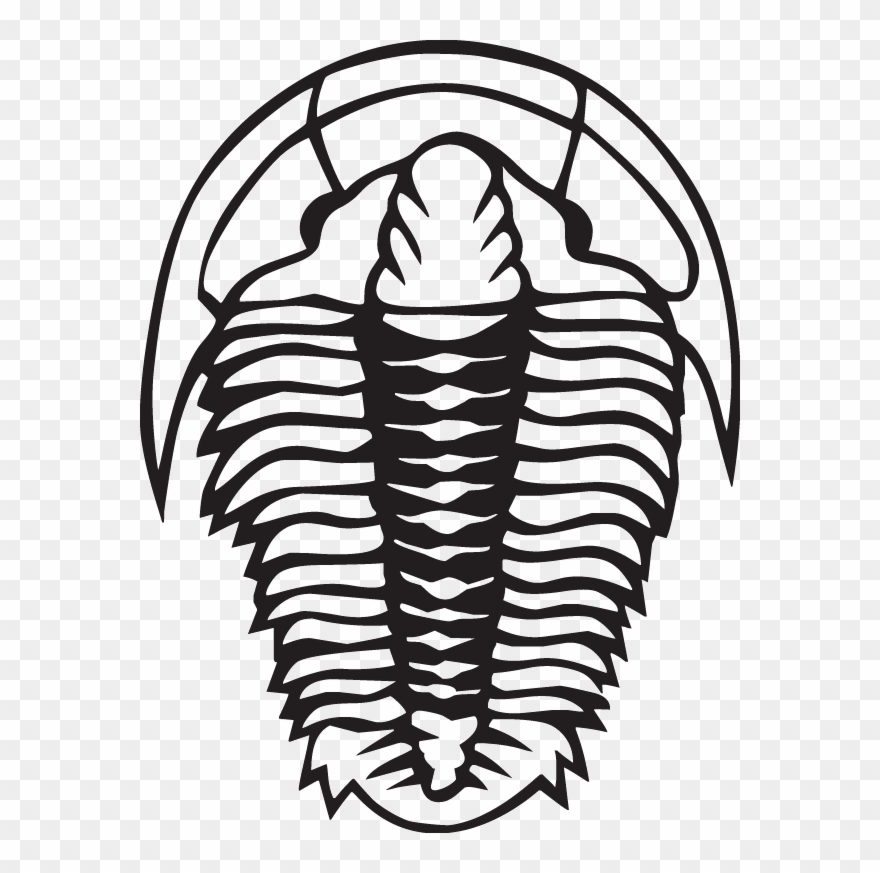 Prometheus Drawing Trilobite Clipart (#2697005) - PinClipart