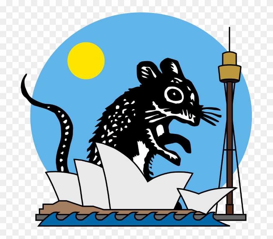 Rat Images Clip Art - Png Download (#2708241) - PinClipart