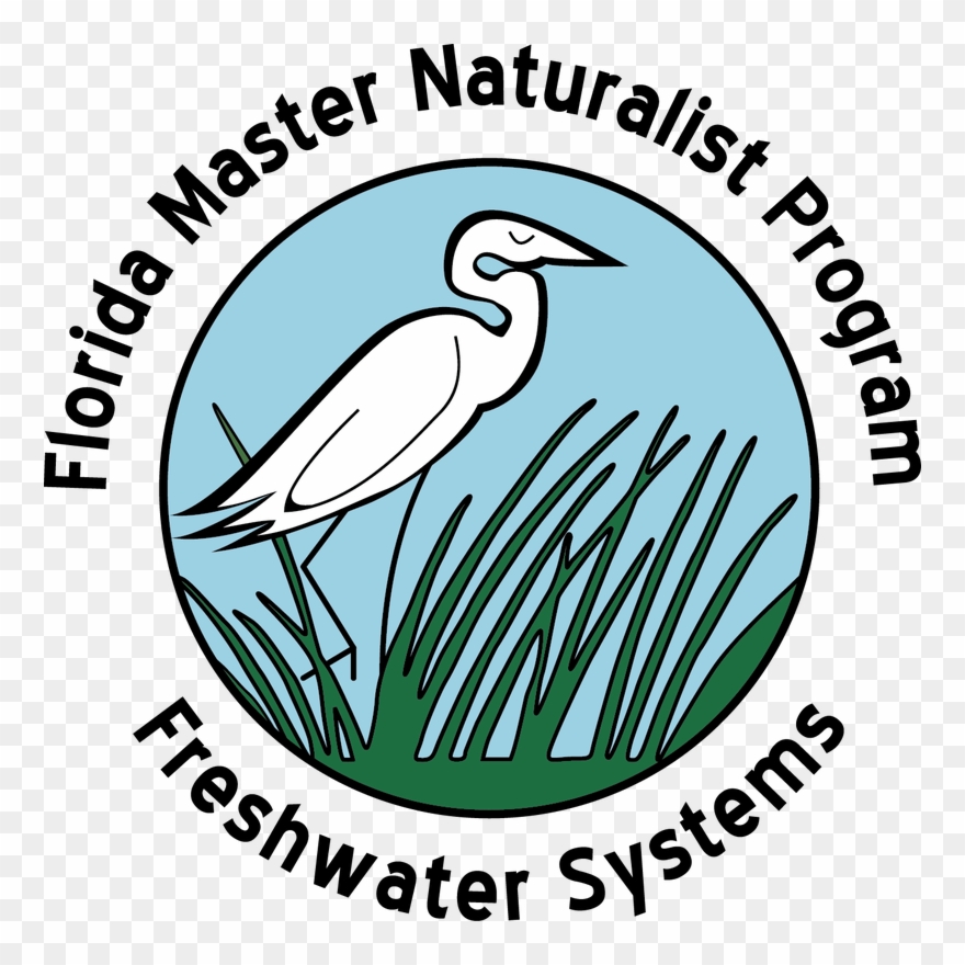 Uf/ifas Florida Master Naturalist Program Clipart (#2710399) - PinClipart
