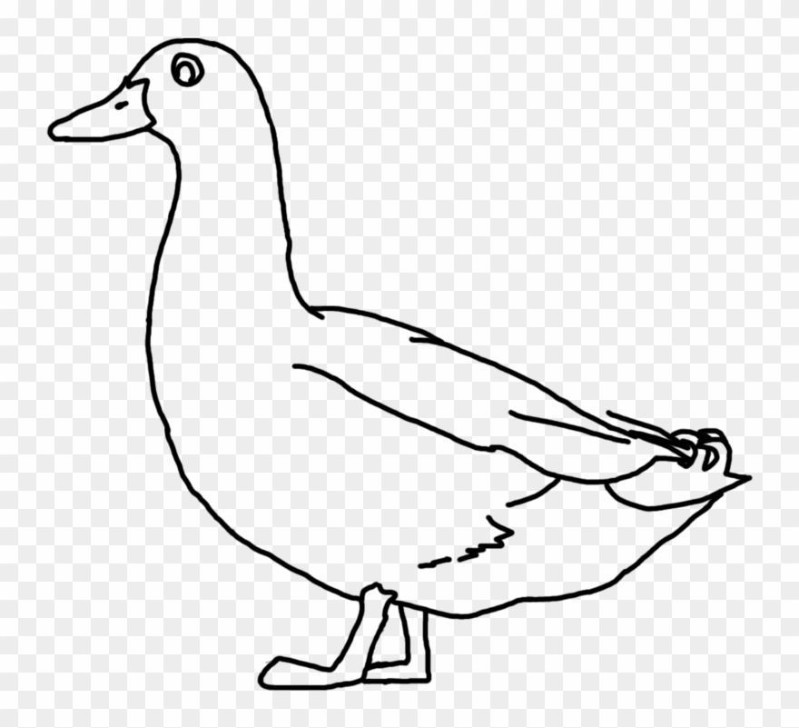 Duck Png Duck Line Drawing Clip Art Library , Png Download Transparent ...