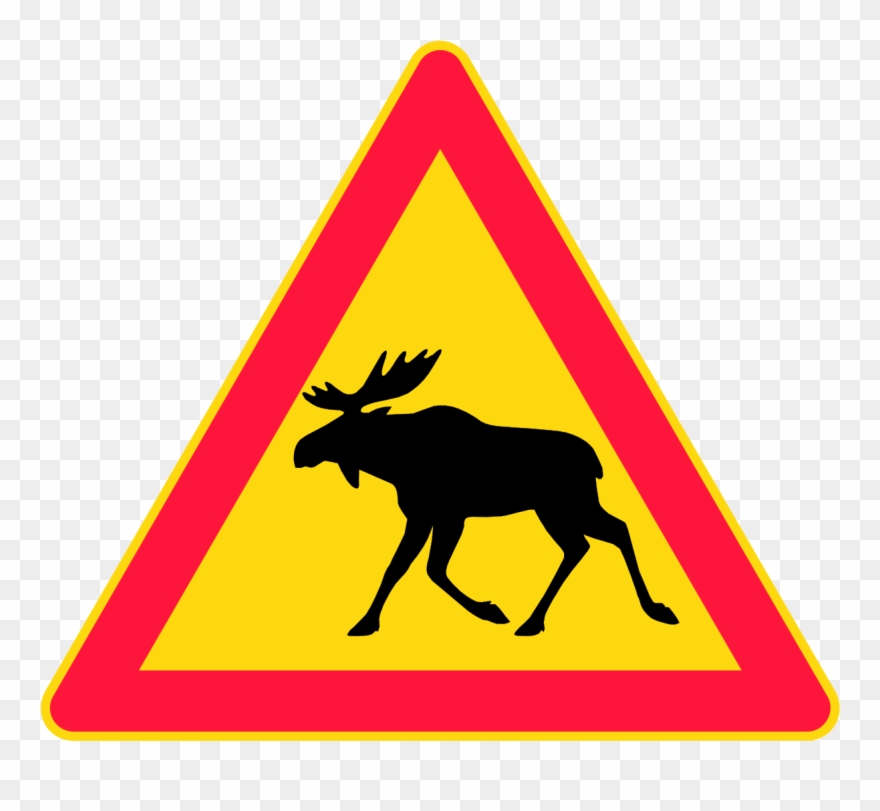 Tanne Clipart - Png Download (#2722732) - PinClipart