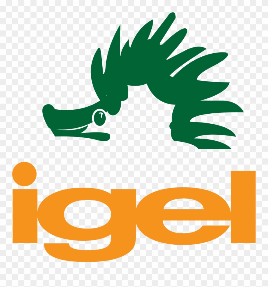 Igel Clipart - Png Download (#2723360) - PinClipart