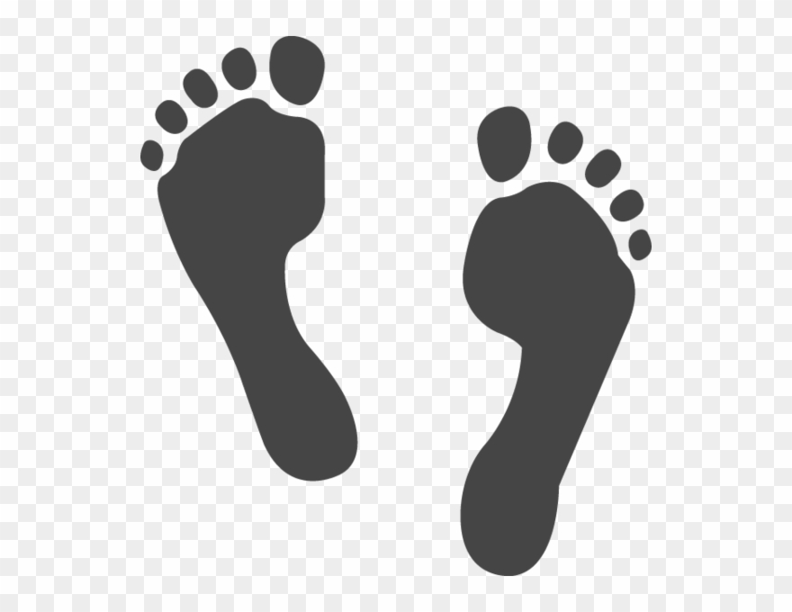 Footsteps Pictures Clip Art - Png Download (#2730319) - PinClipart
