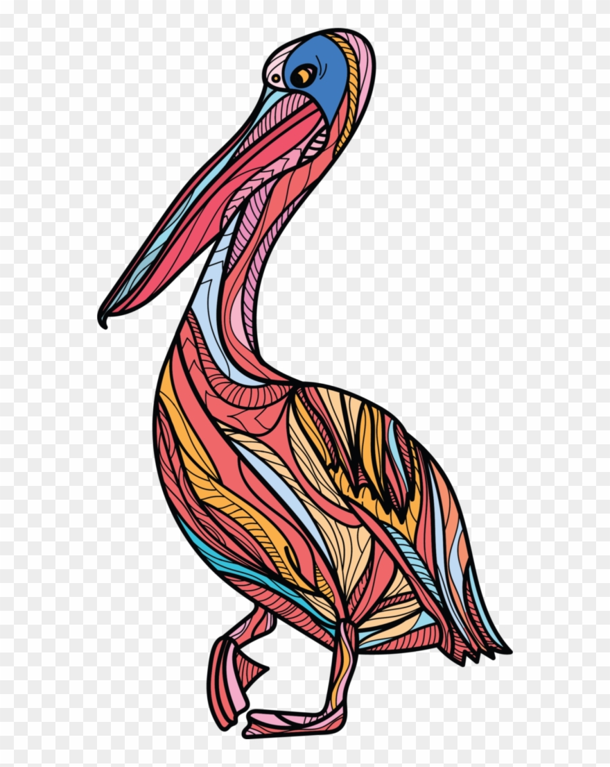 Pelican Clip Art - Png Download (#2738519) - PinClipart
