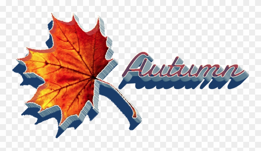 Download Autumn Leaves Pictures Clip Art - Png Download (#2744290 ...