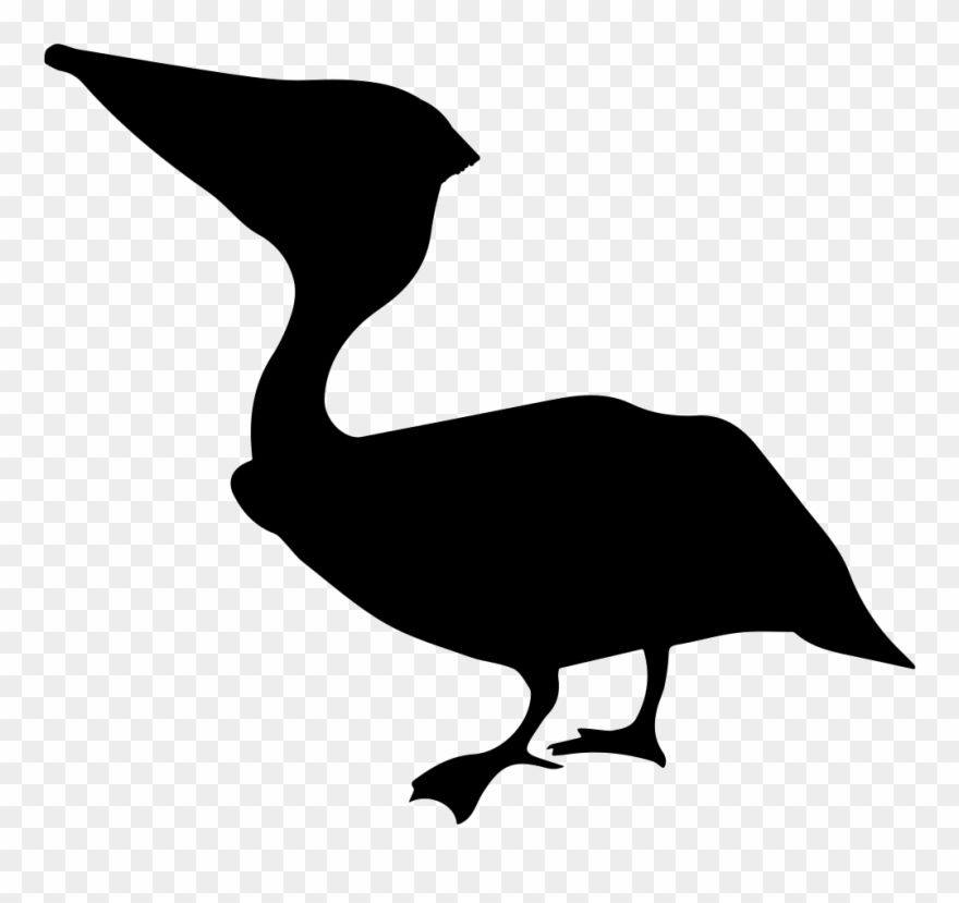 Anhinga Bird Silhouette Comments Clipart (#2763613) - PinClipart