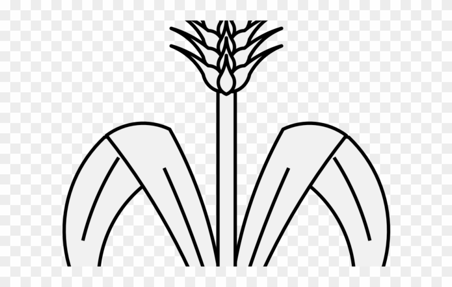 Drawn Wheat Palay Clipart (#2777509) - PinClipart
