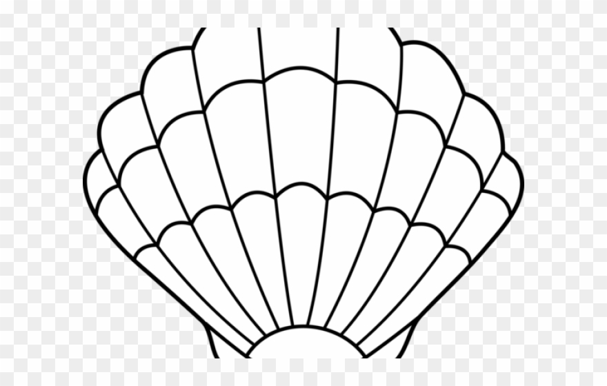 Original - Transparent Background Shell Clip Art - Png Download ...