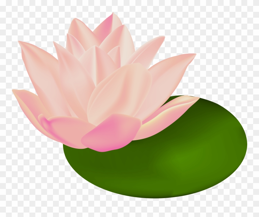 Download Water Clipart - Png Download (#284561) - PinClipart