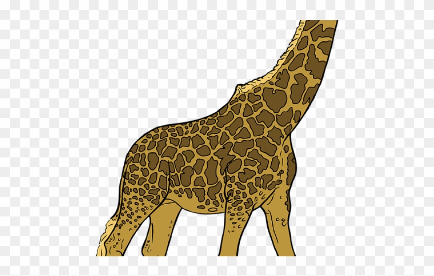Mammal Clipart Giraffe - Custom Giraffe Throw Blanket - Png Download ...