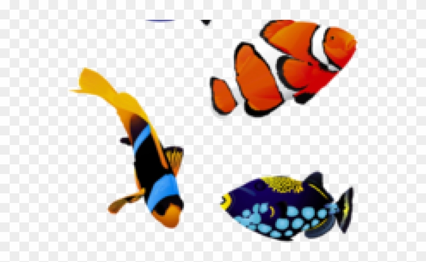 Original Clipart 5 Fish - Png Download (#2810047) - PinClipart
