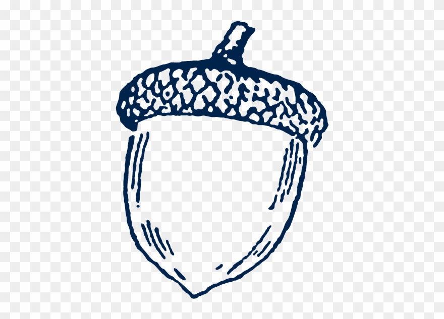 Squirrel With Acorn Clipart - Png Download (#2820320) - PinClipart