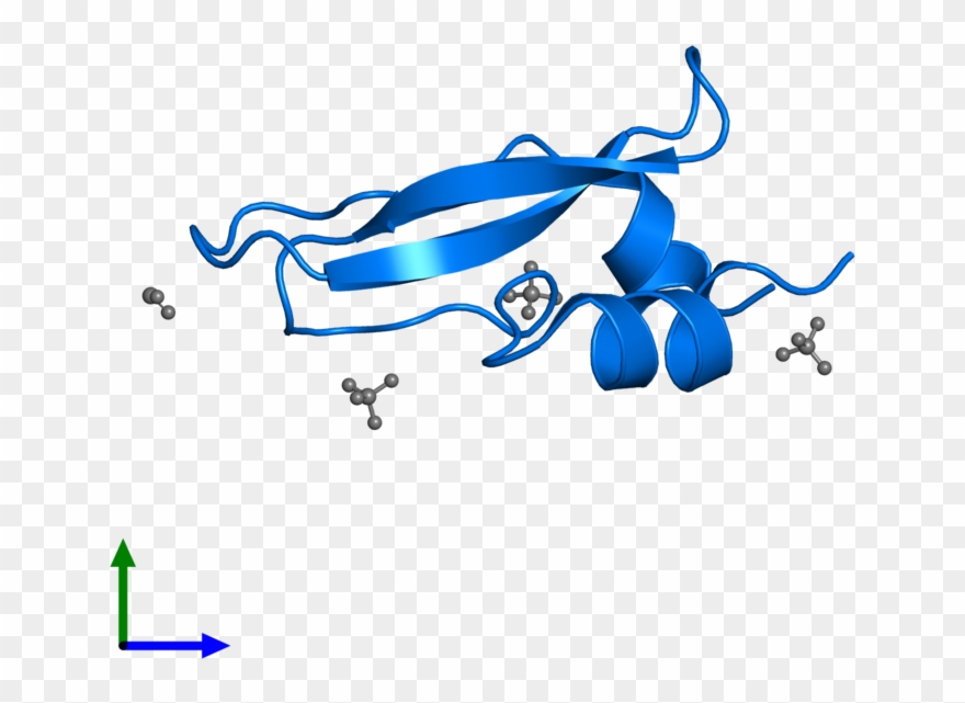 Pancreas Clipart - Png Download (#2826677) - PinClipart