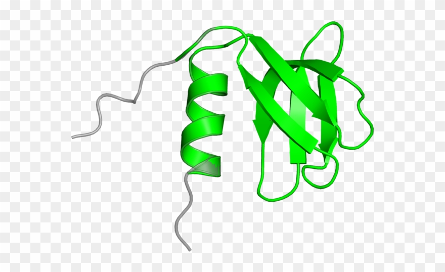 Rna Clip Art - Png Download (#2842499) - PinClipart