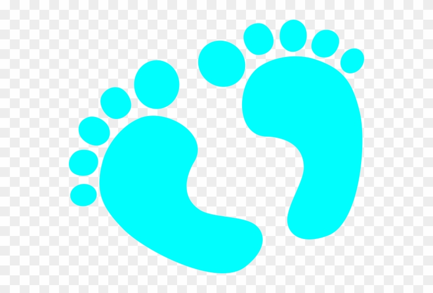 Download Elephant Foot Clipart - Png Download (#2853432) - PinClipart