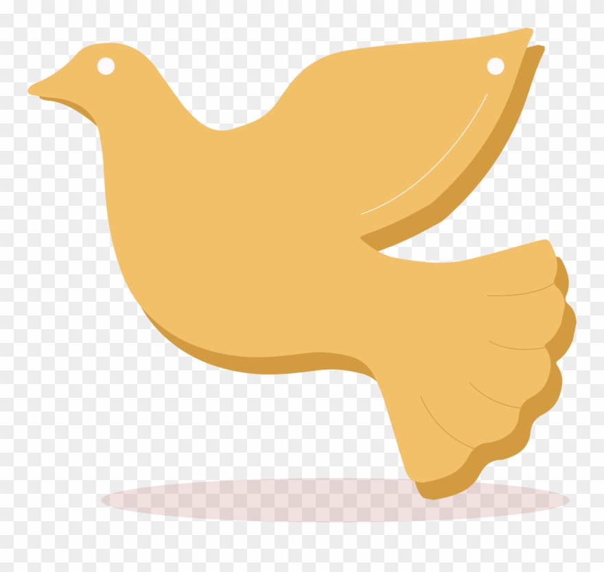 Homing Pigeon Columbidae Cartoon Clipart (#2864633) - PinClipart