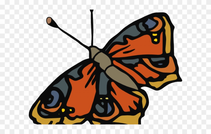 Moth Clipart Cartoon - Png Download (#2871540) - PinClipart