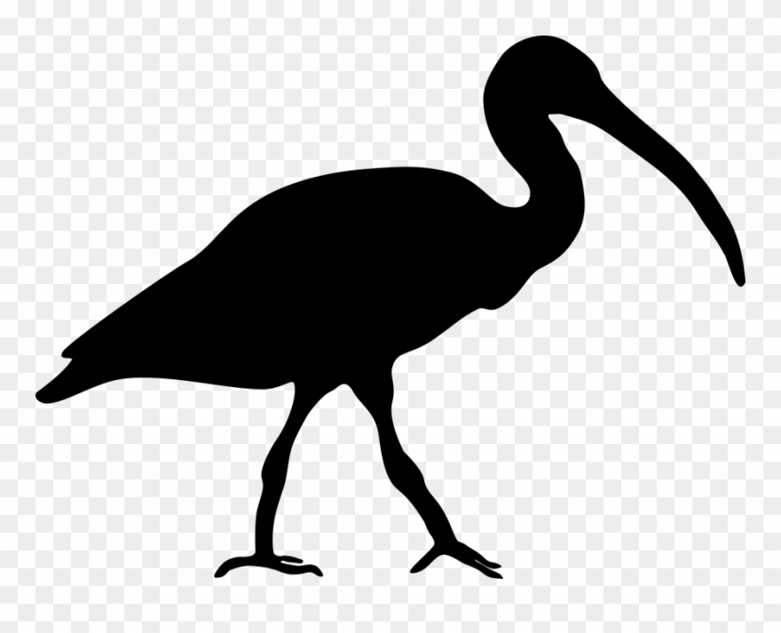 Ibis Logo Standing Clipart (#2899510) - PinClipart