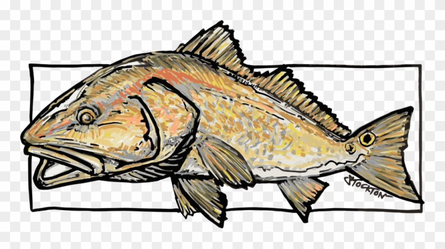 Download Redfish 2018 Prev Clipart (#2903805) - PinClipart