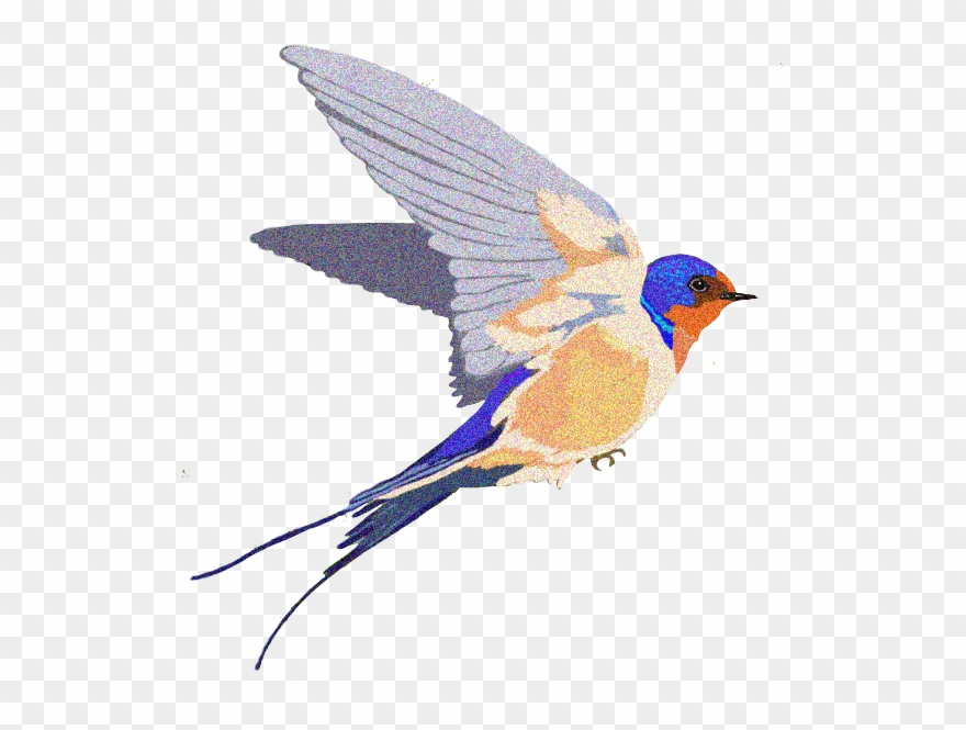 Picture Free Barn Swallow Silhouette At Getdrawings Clipart (#2918390 ...