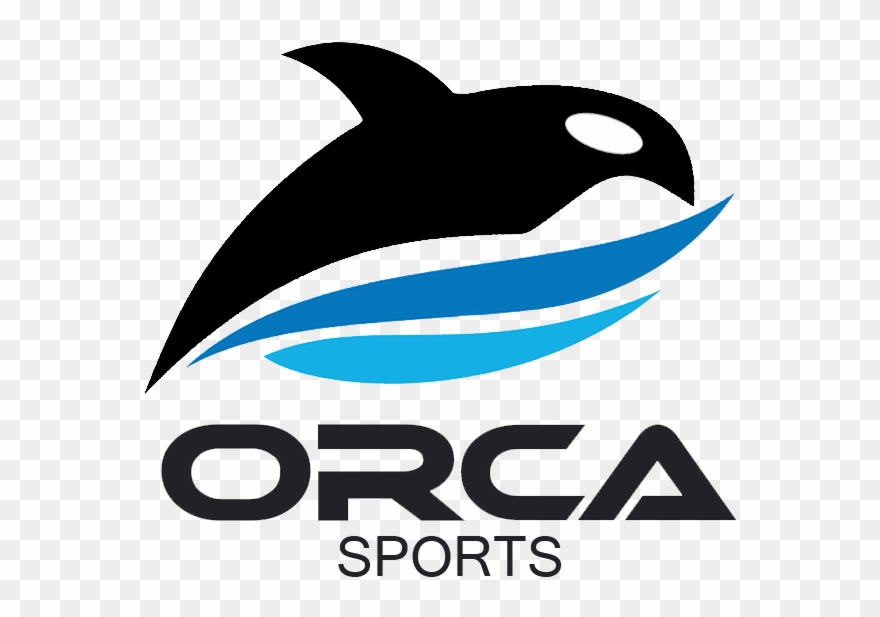 Orca Sports Orca Sports Clipart (#2922450) - PinClipart