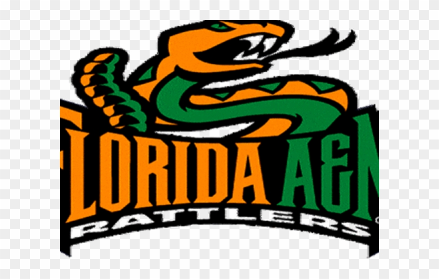 Download Rattlesnake Clipart Famu - Png Download (#2942253) - PinClipart