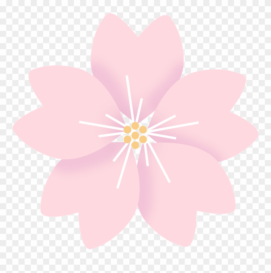 Download Flowers Cherry Blossom Sakura Clipart (#2946597) - PinClipart