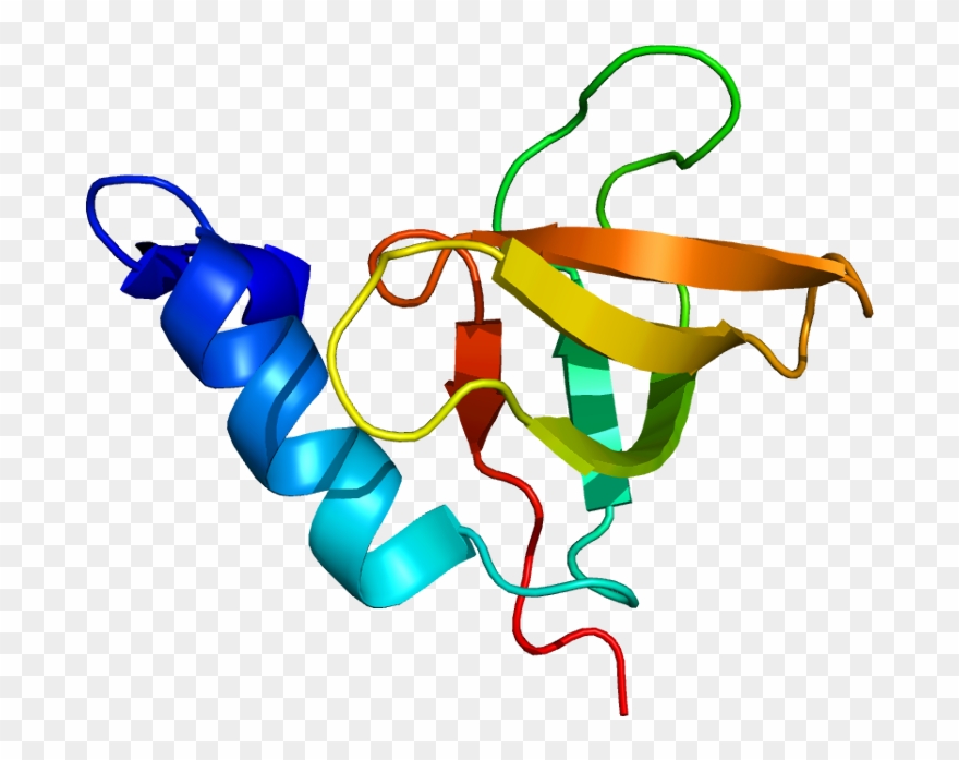 Metaphase Clipart - Png Download (#2955031) - PinClipart