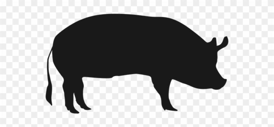Download Shadow Clipart Pig - Png Download (#2961337) - PinClipart