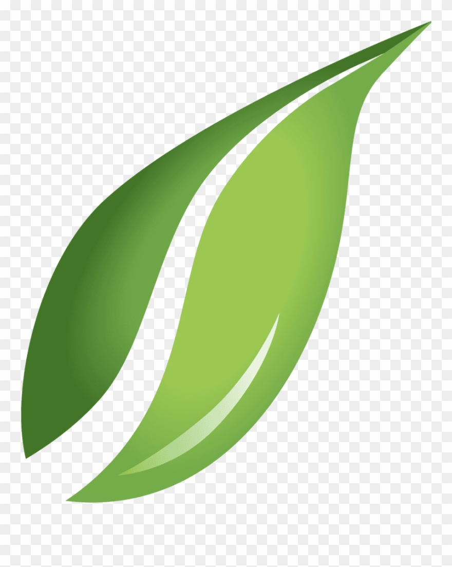 Green Leaves Clip Art - Png Download (#2963581) - PinClipart