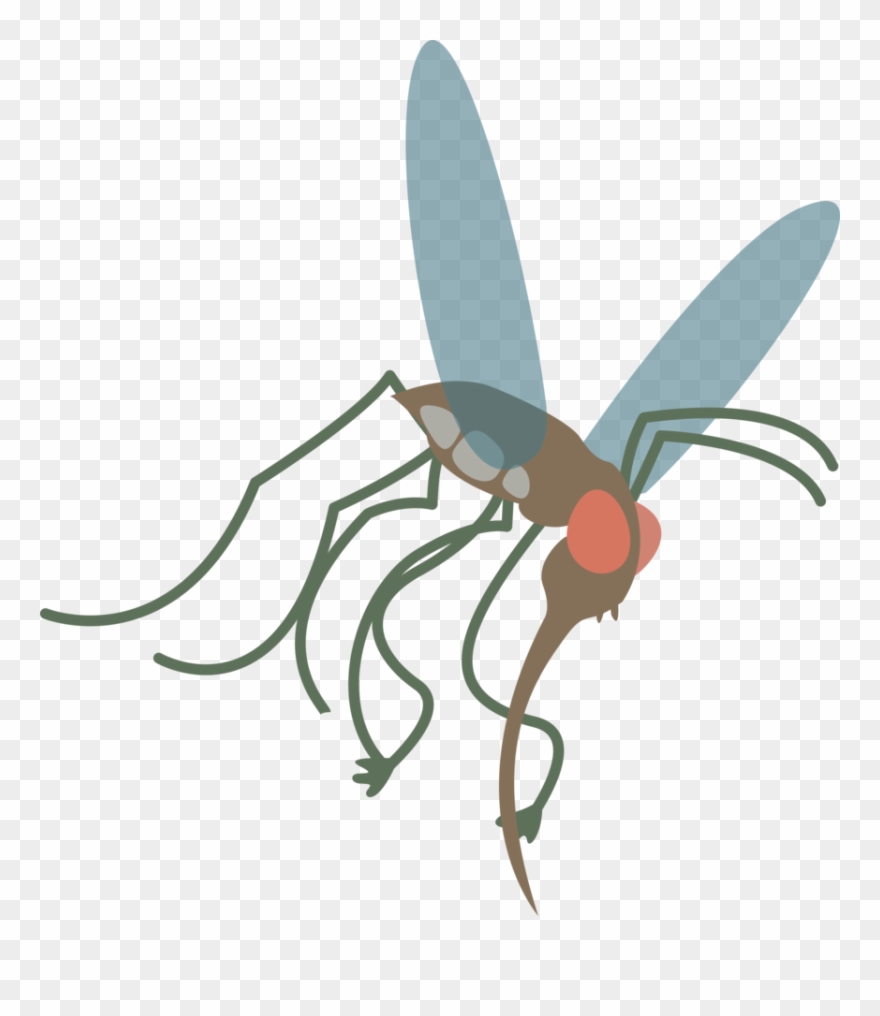 Mosquito Clip Art - Png Download (#2985245) - PinClipart