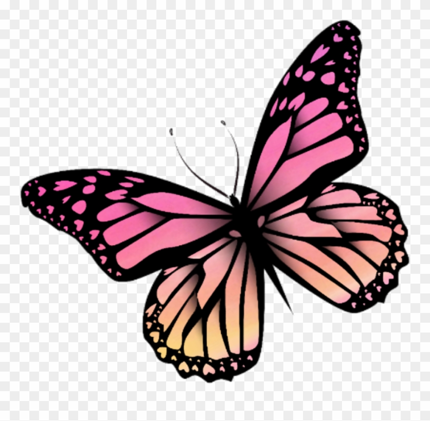 Download Butterfly Sticker Clipart (#2988127) - PinClipart