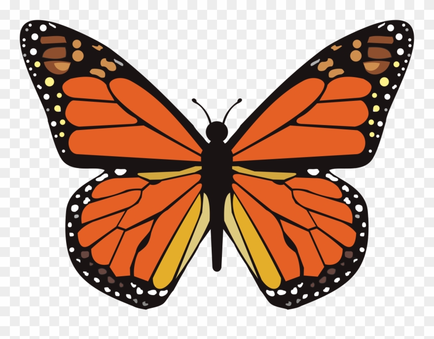 Download Monarch Butterfly Clip Art - Png Download (#2992808) - PinClipart