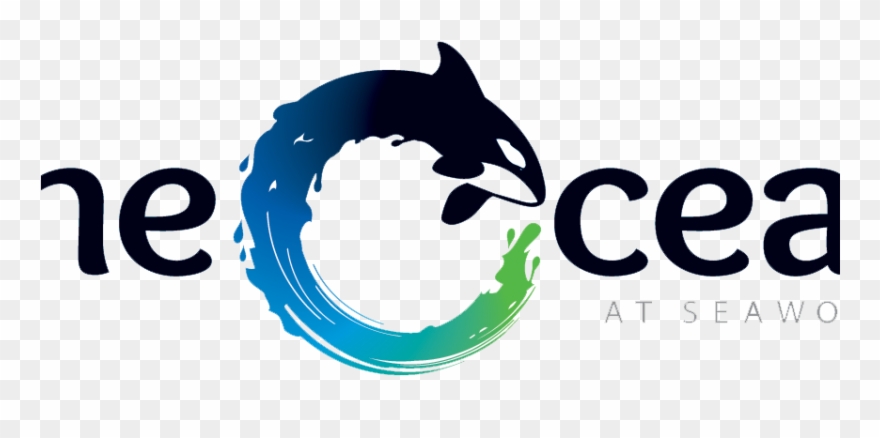 Download Shamu Clipart - Png Download (#3021480) - PinClipart