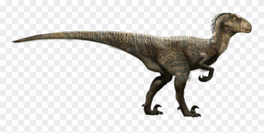 Download Velociraptor Clip Art - Png Download (#3033869) - PinClipart