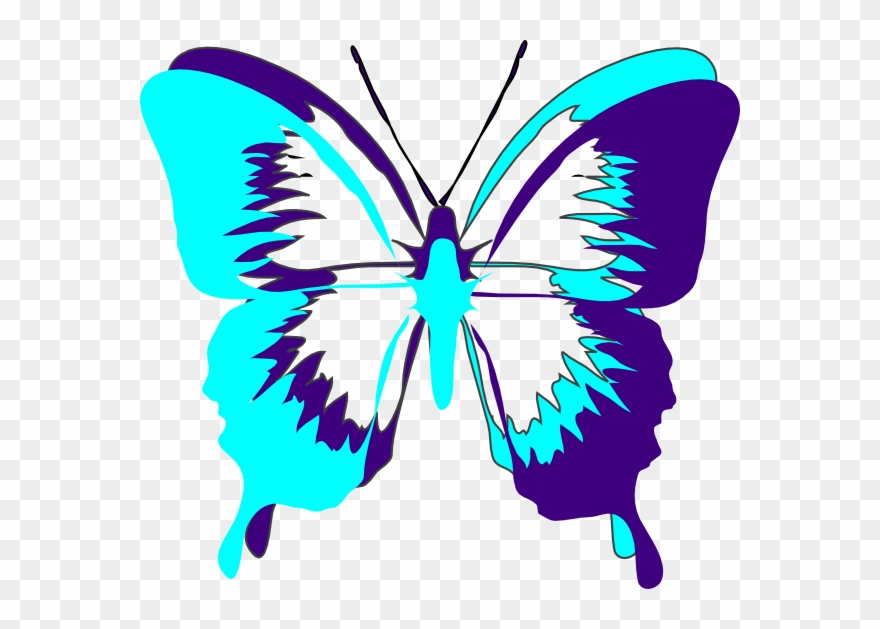 Teal Butterfly Clipart - Png Download (#3056106) - PinClipart